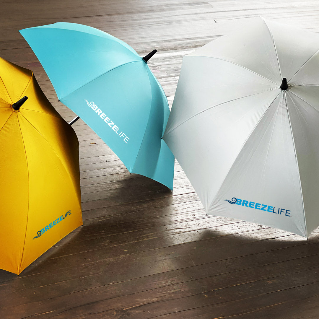 The Original Mister Breeze (AA Battery-Operated) – Breeze Life